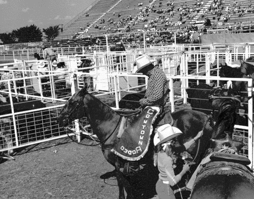 Toute une histoire – les cowboys envahissent le stade | Explore Verdun IDS