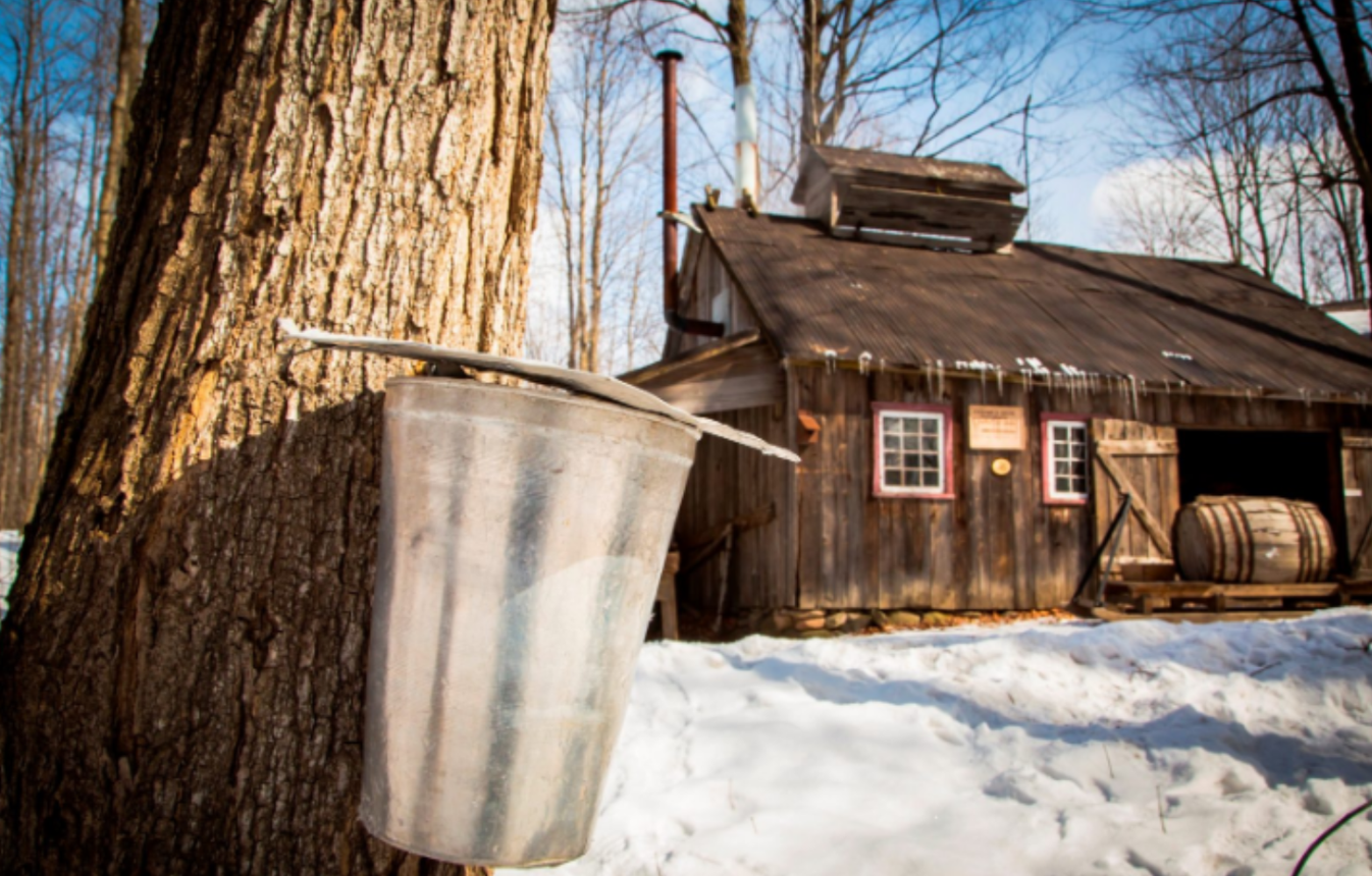 Le temps des sucres - Explore Verdun IDS